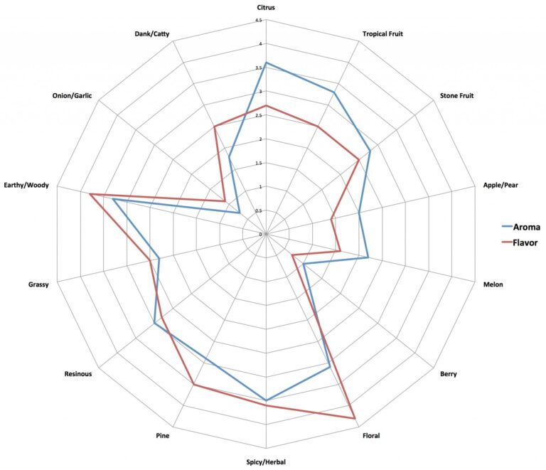 Hmelj Centennial T90 - CraftUnity Shop